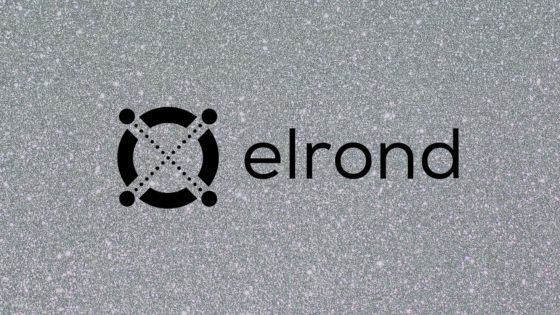 Elrond Scalable And Secure Blockchain For The New Internet Economy